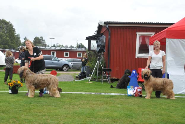 Bast i Vast 2012 gallery